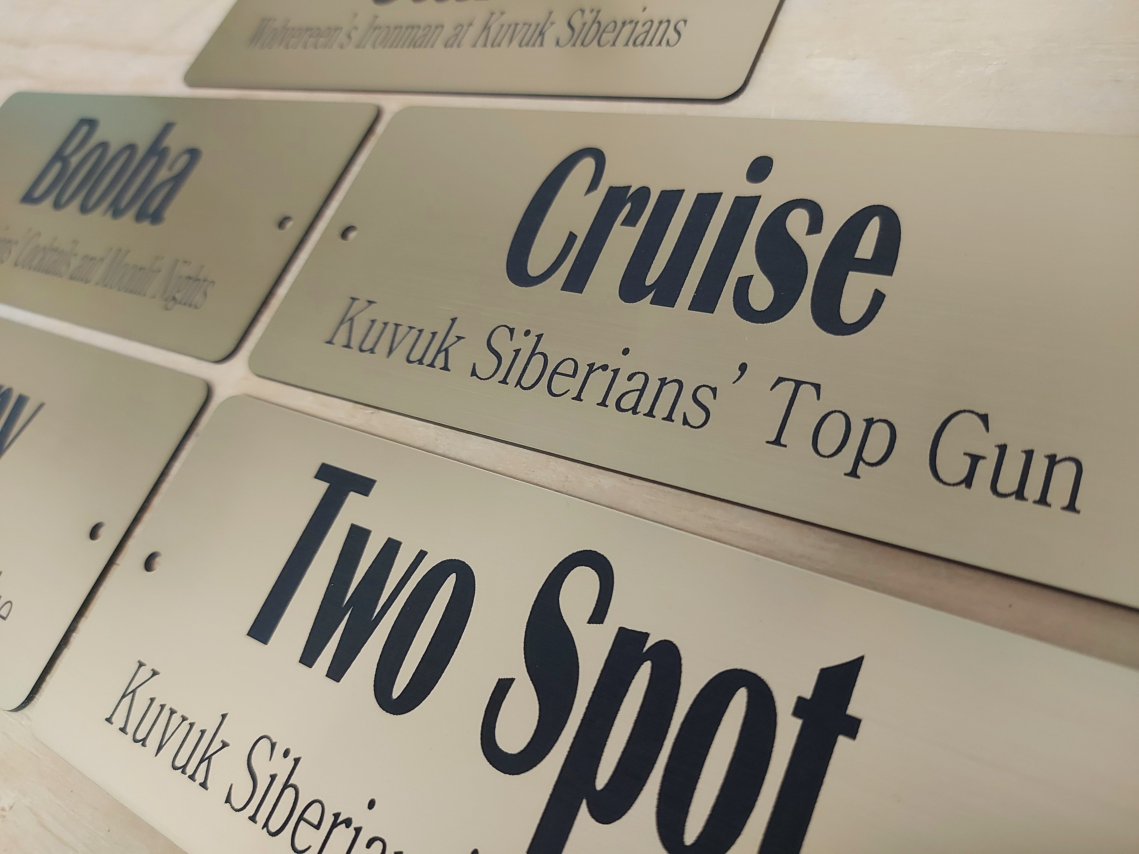 Custom Engraved Horse Stall Plate - Bold Lamacoid Plastic - Realistic ...