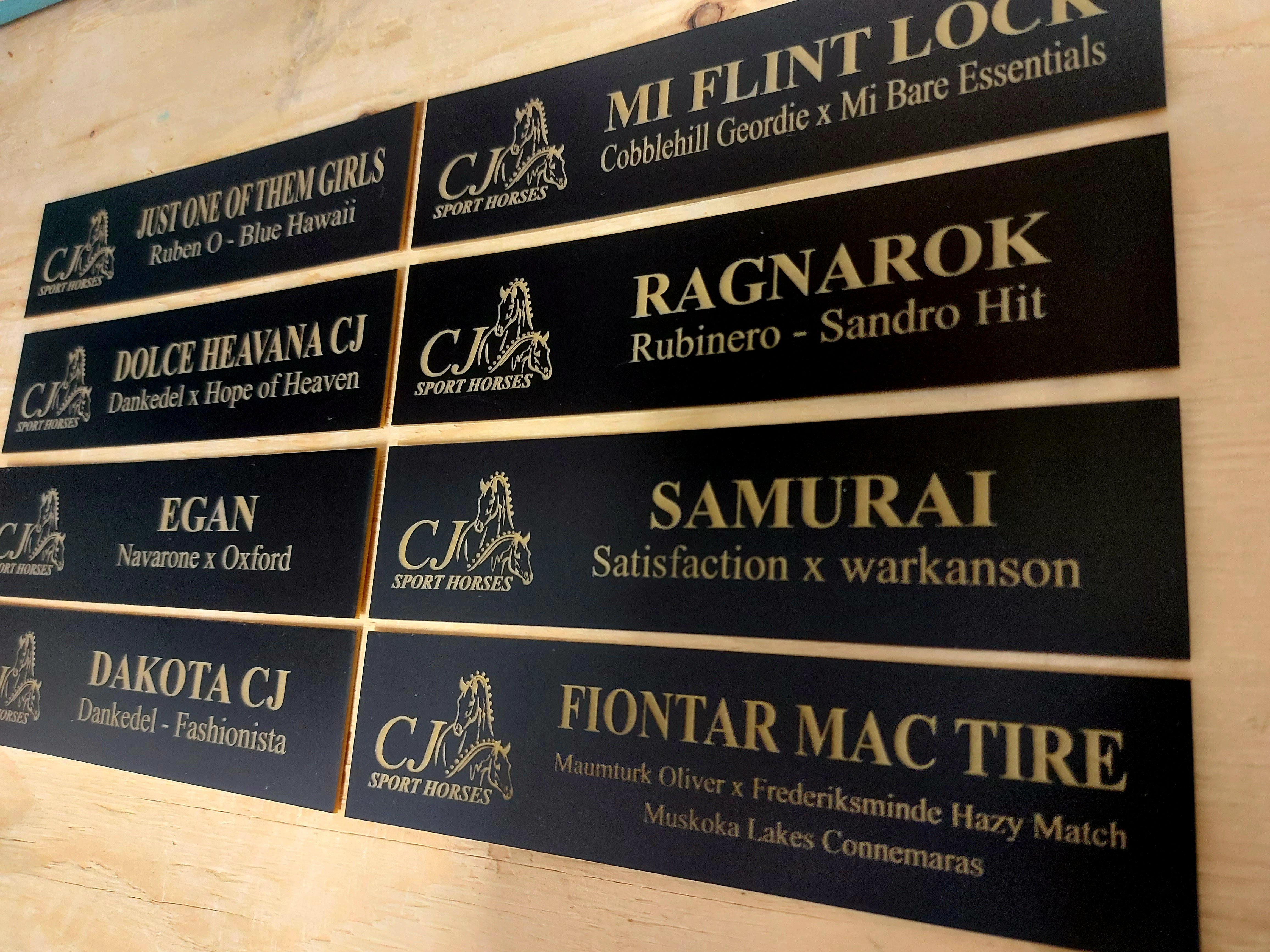 Stall Name Plate for Slider Set - Bold Lamacoid Plastic (PLATE ONLY ...